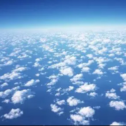 偏爱成痛啊啊是v 