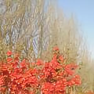 科技sky 