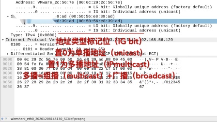 计算机网络 实验4 ARP协议分析
