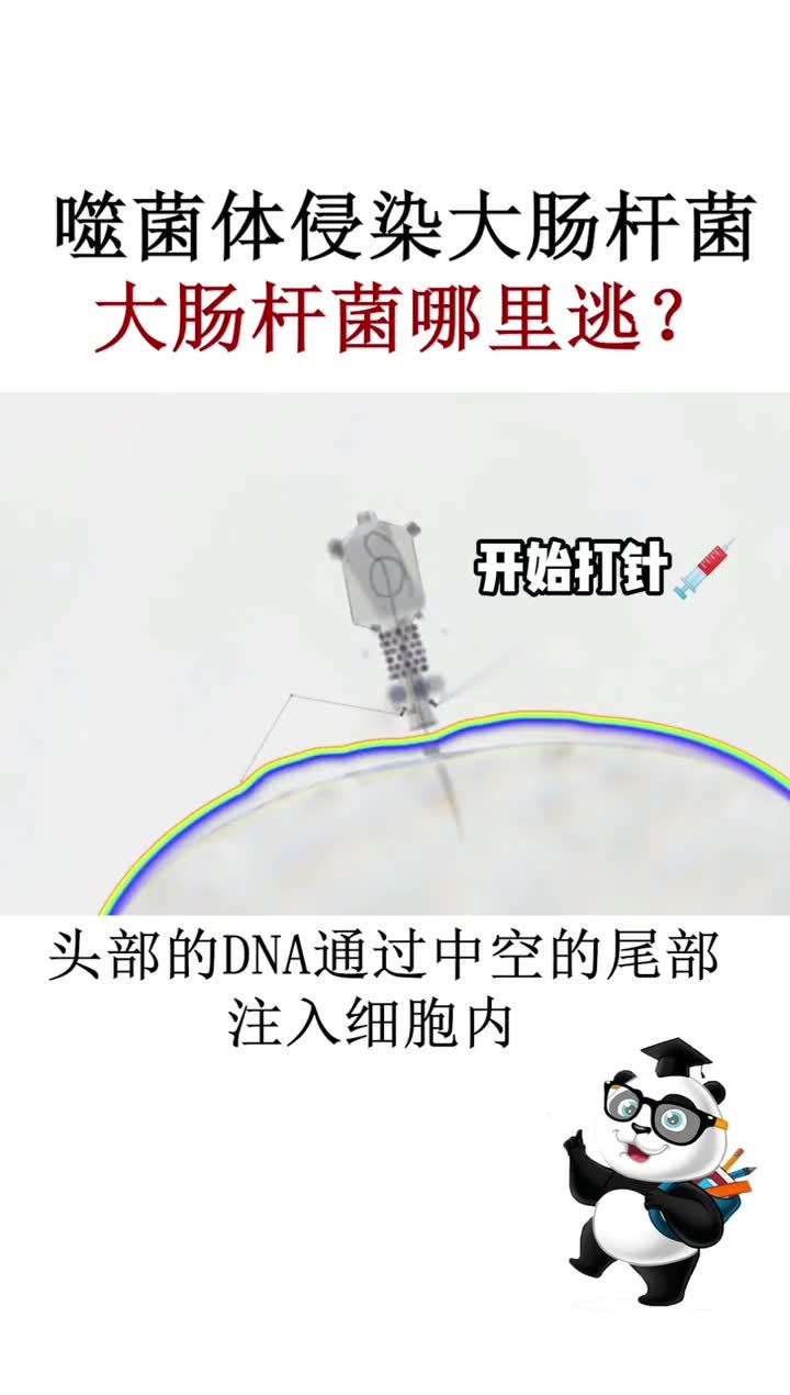 噬菌体侵染大肠杆菌之后逃到.