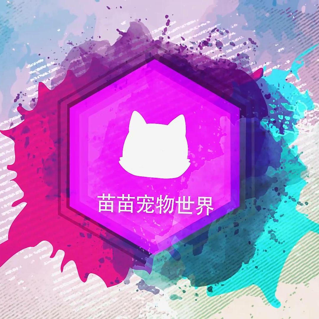 苗苗宠物世界 