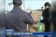 我市组织开展义务植树活动