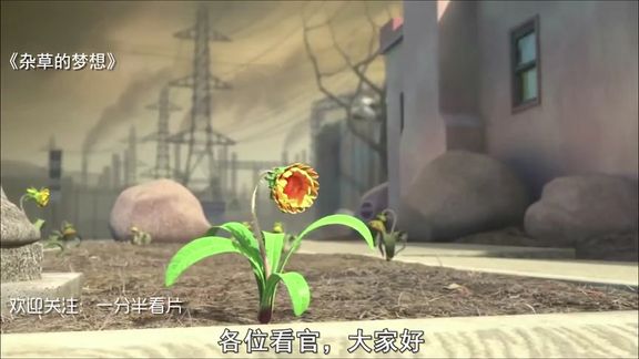 一颗杂草为了活下去,把自己从土里拔出来,一部励志动画片