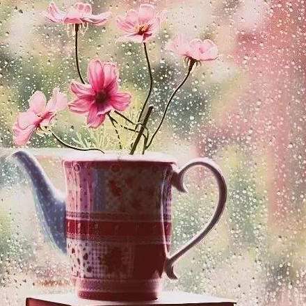 爱拍椰奶的小文 