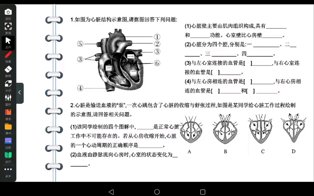 七下生物(人教版)第四章第三节心脏(一)习题讲解