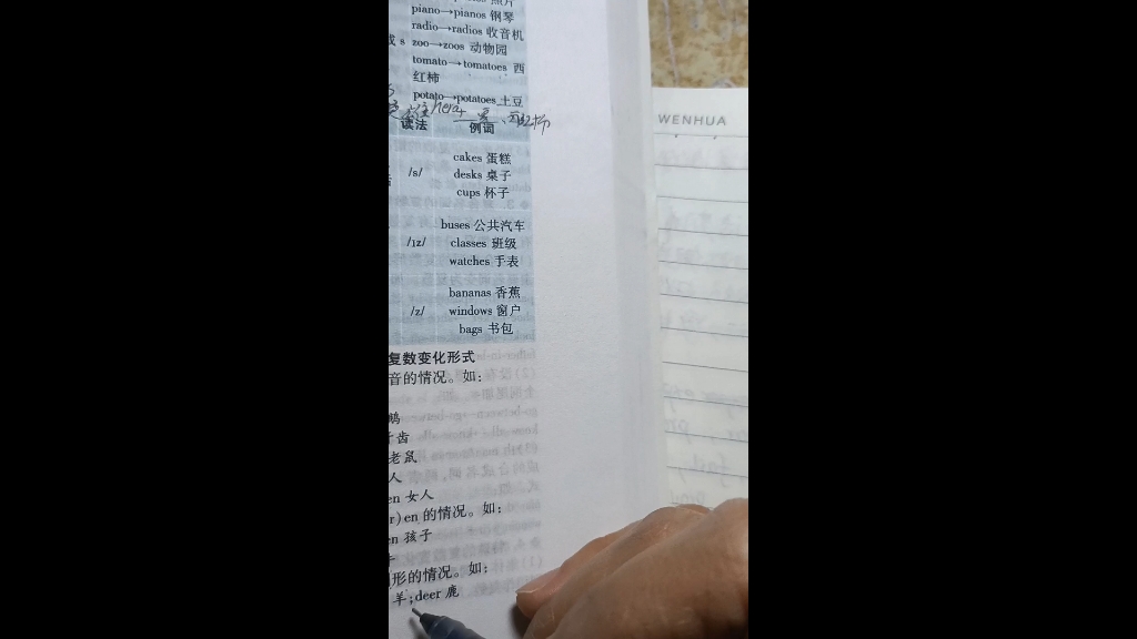 初中英语名词的复数形式之不规则的变化