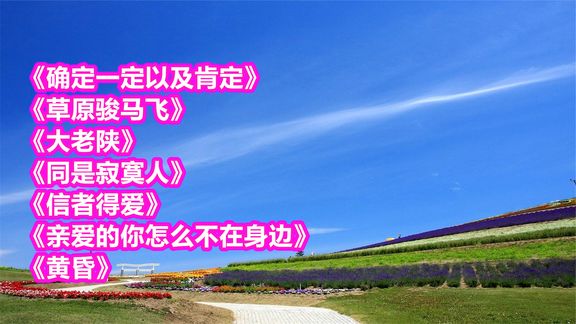 《确定一定以及肯定》《草原骏马飞》《大老陕》《同是寂寞人》