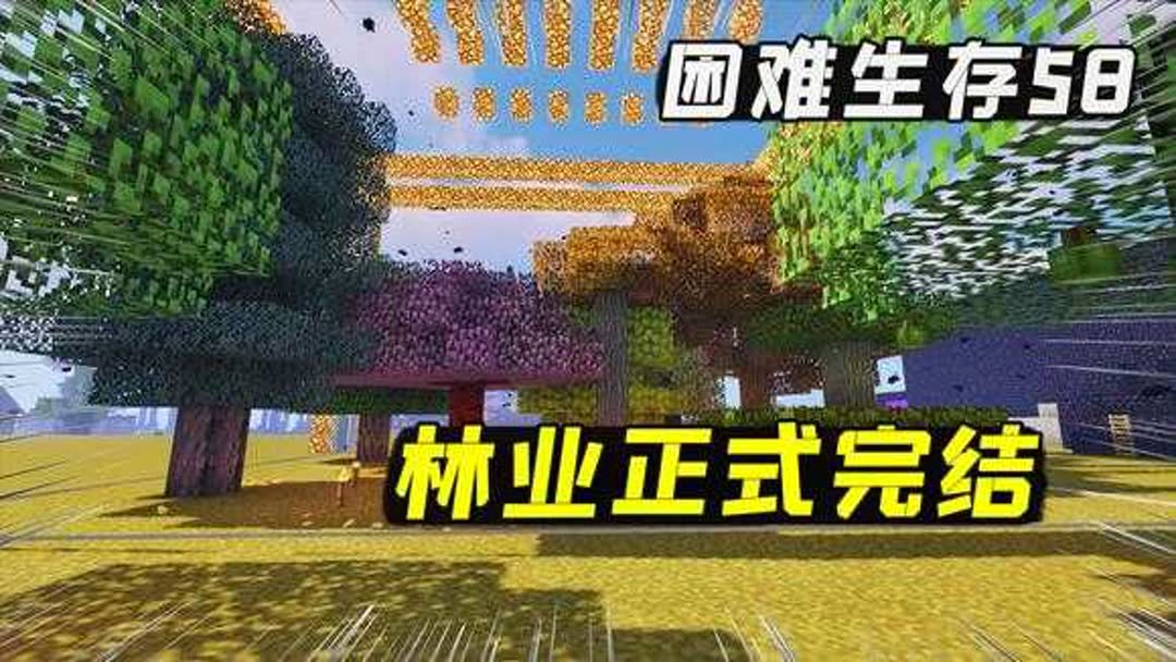 我的世界困难:种完树捕完蝴蝶,林业结束,开启打BOSS的准备阶段