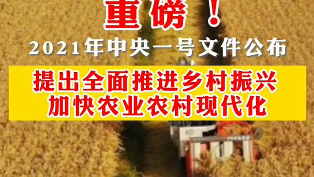 重磅!2021年中央一号文件公布