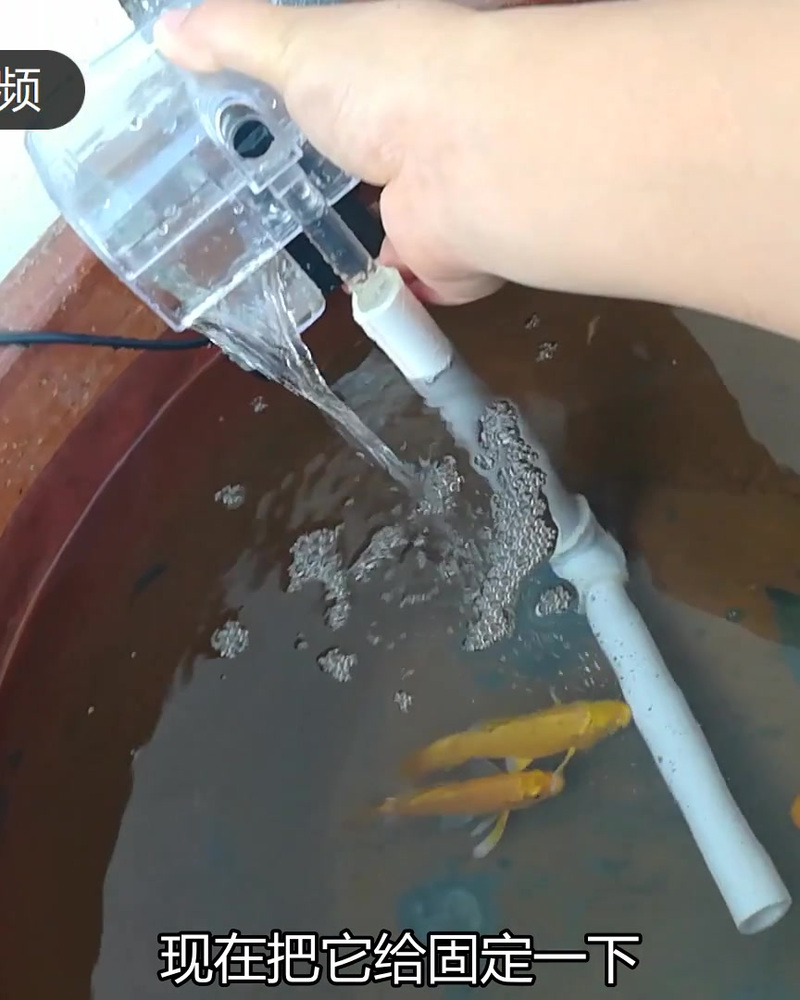 农村小伙用老缸养金鱼,自己改装一个过滤器,效果真不错!