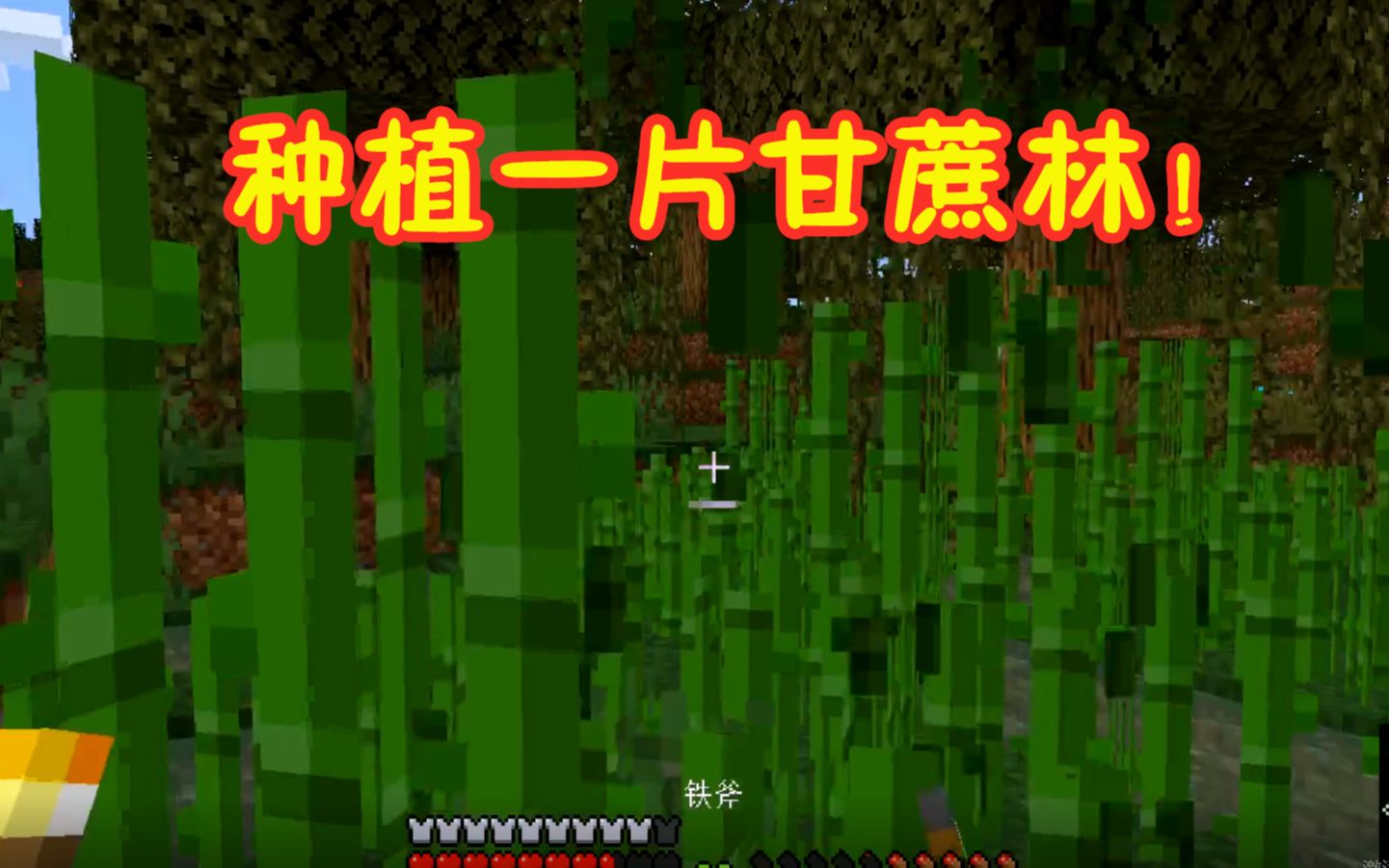 我的世界生存19:为打造好的武器,我储备了这么多甘蔗做书架!