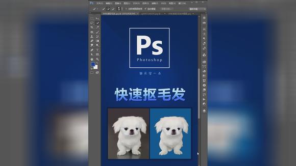 教你用ps快速抠取动物毛发,超简单超实用!