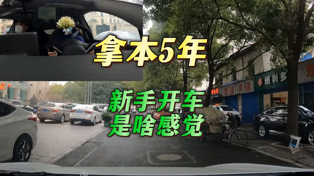 拿本5年新手开车是啥感觉