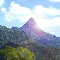 乐东旅文 
