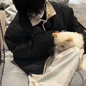 拜托了芝士_- 