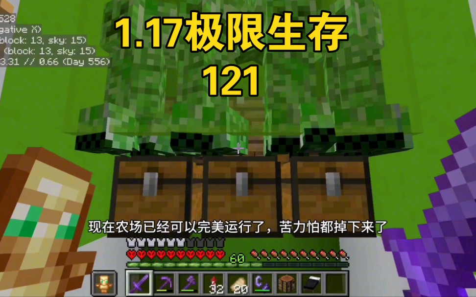 【我的世界】Java版1.17极限生存 121