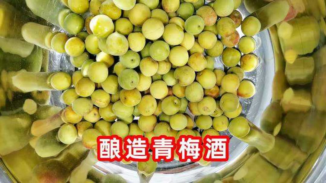 青梅既可以泡酒也可以酿酒,两种做法口感差别太大