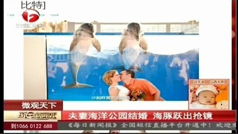 正大光明超清视频:夫妻海洋馆结婚 海豚跃出抢镜。._实拍视频在线看