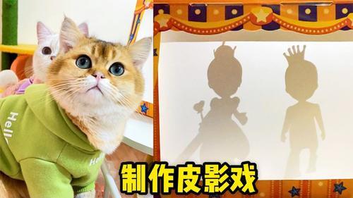 制作家庭版迷你皮影戏,效果太棒了,连猫猫们都喜好看!
