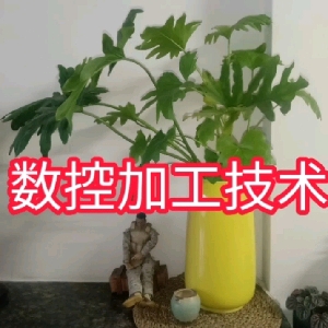 数控加工大敬哥 