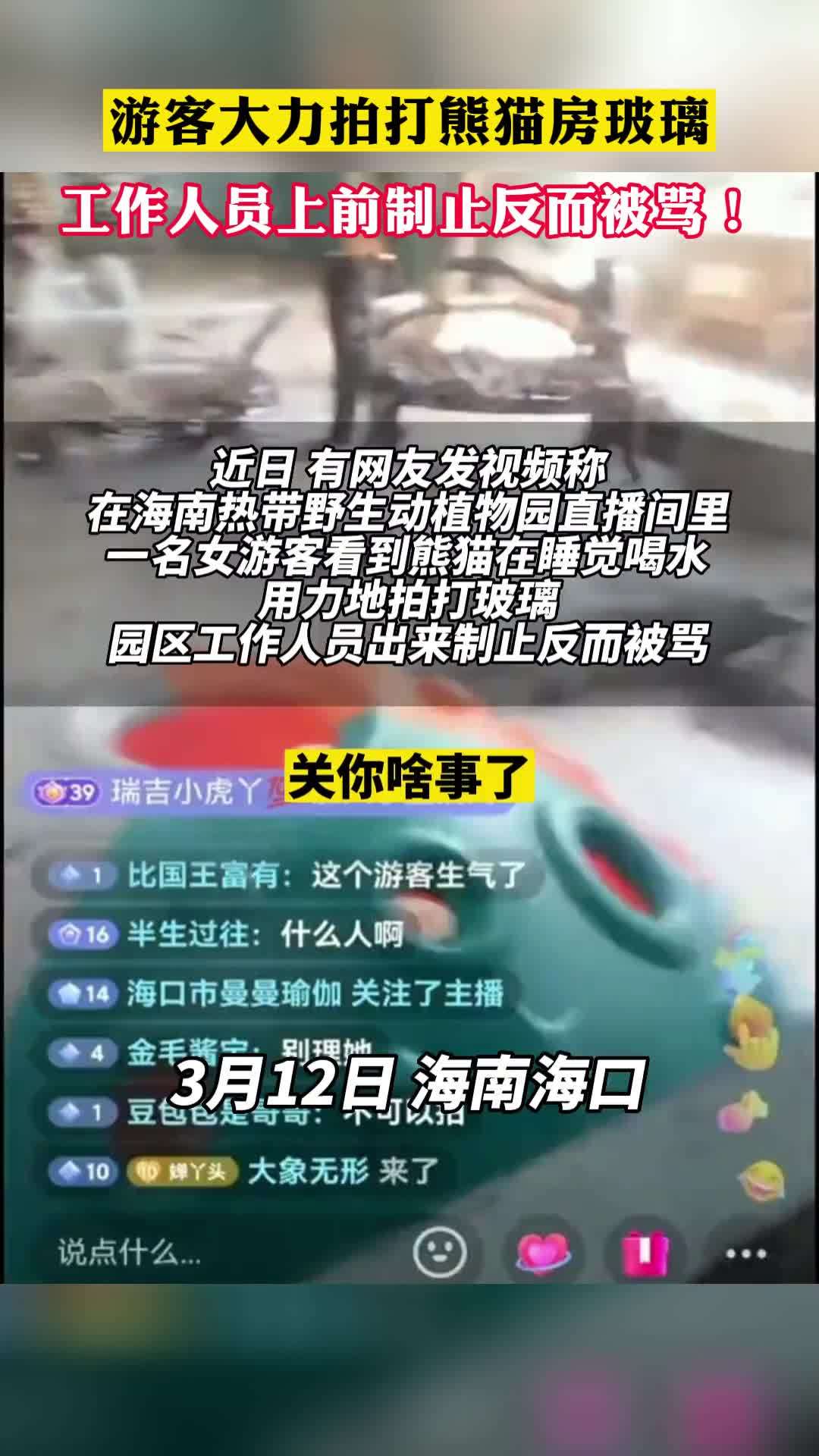 游客大力拍打熊猫房玻璃,工作人员上前制止反而被骂!