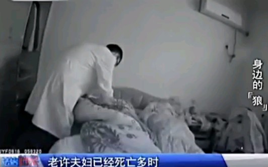 刑事案件:身边的“狼”