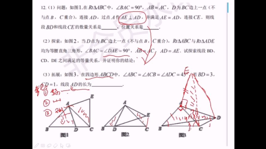 【初二数学】全等三角形中的“手拉手”模型②