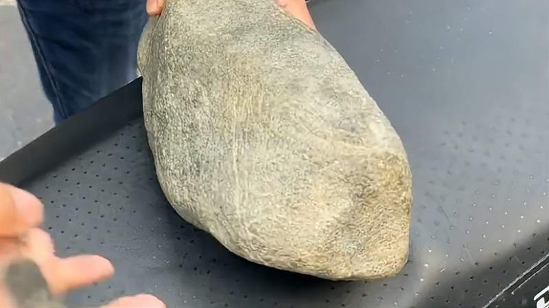 这块翡翠料子形状非常不错,打灯出现白雾,有机会取翡翠手镯