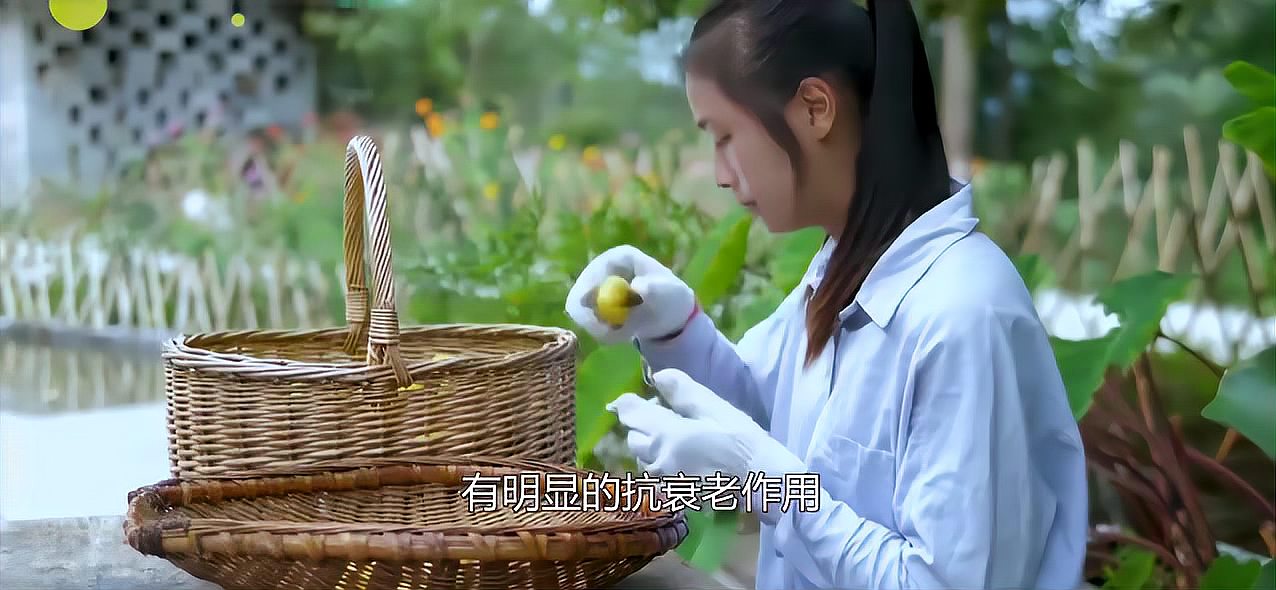 它是天然“不老药”,女人每天吃一点,越吃越显年轻