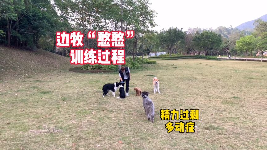 正确的训练计划才是训练的核心