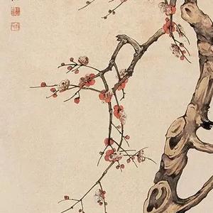 淡墨探花 