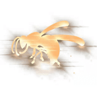 娱乐新蜜蜂 