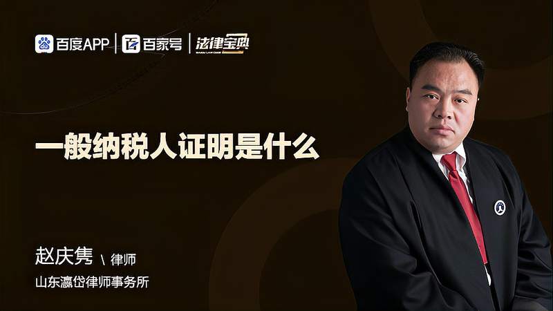 一般纳税人证明是什么