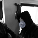 转眼皆为狗13 