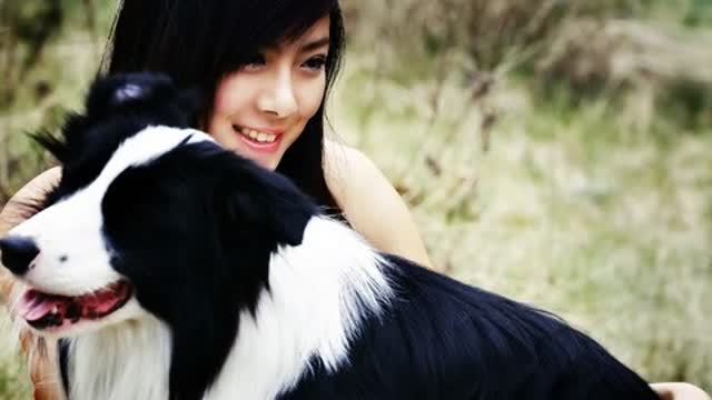 10大世界最强犬