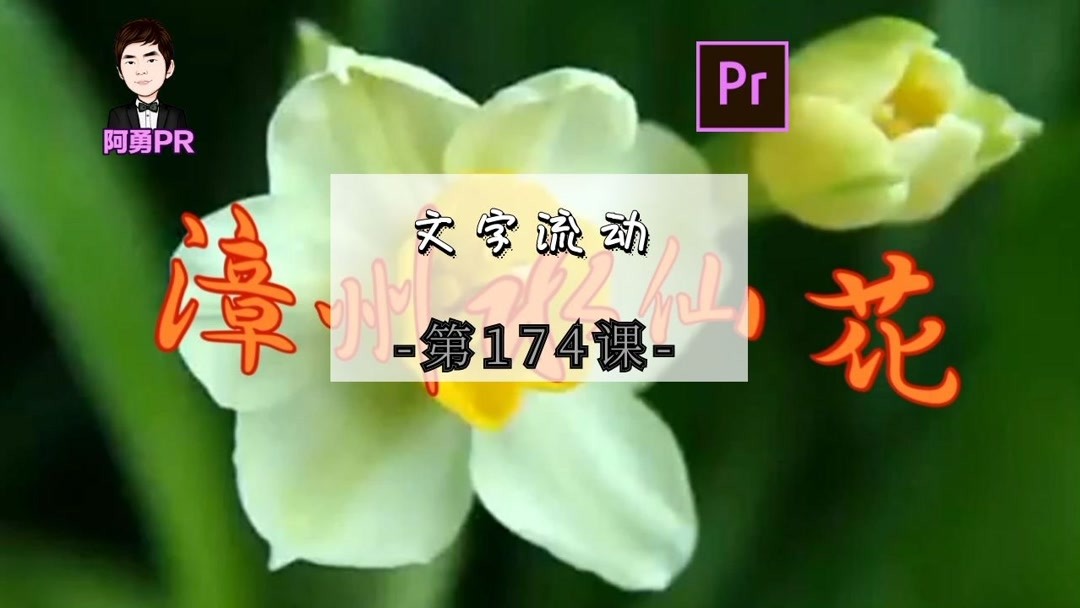 阿勇pr第174课 使用pr如何制作文字流动效果