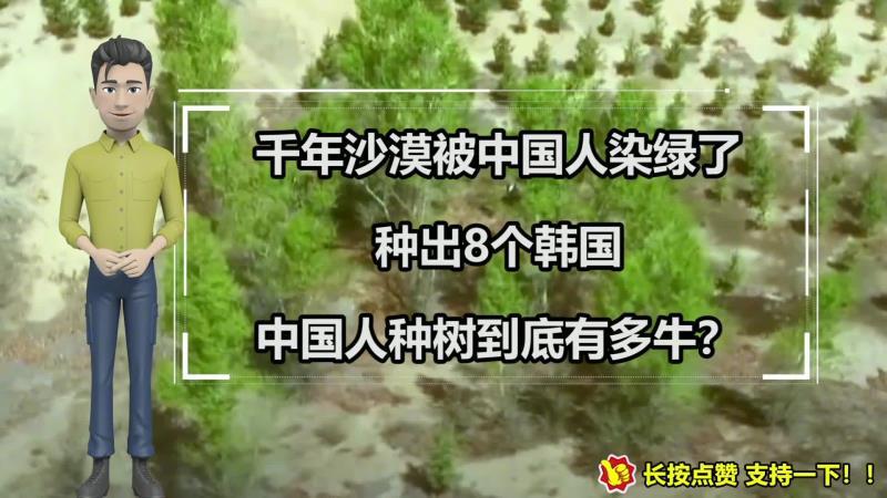 干掉千年老沙漠,种出8个韩国,中国人种树到底有多疯狂?