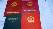 扬子晚报:不动产登记条例将厘清土地产权