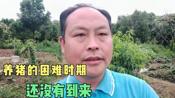 从猪周期,猪价,饲料原料价格看现在养猪是否到了最困难时期?
