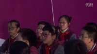 14、百分数的认识