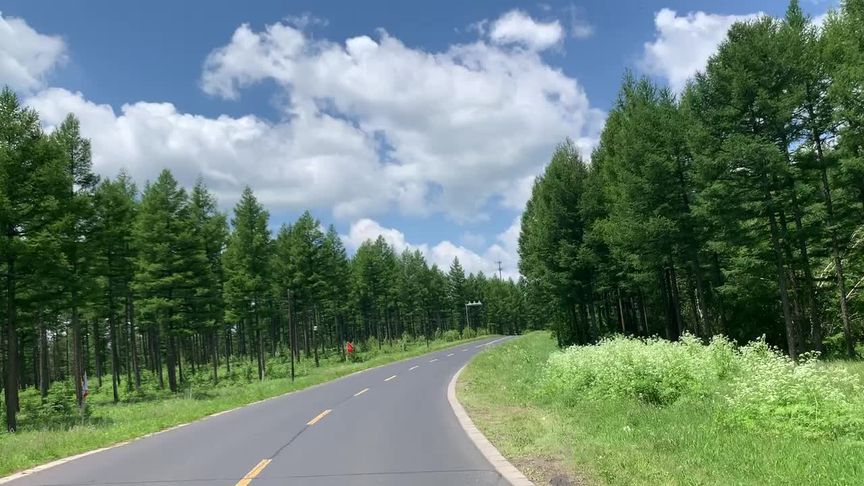 #治愈系风景 #自驾游 #最美的风景在路上 #塞罕坝国家森林公园
