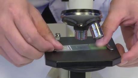 初中生物实验:观察人体的基本组织(实验室实录)