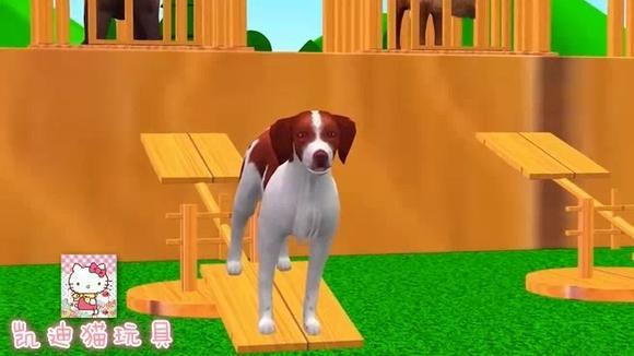 一起来学习狗狗的英文名字吧