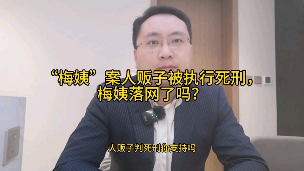 “梅姨案”人贩子执行死刑,梅姨落网了吗?