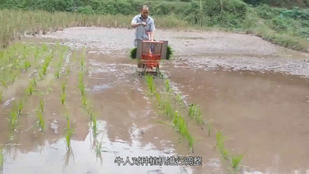中国农民发明种水稻神器,不用油不用电,1天能插8亩地