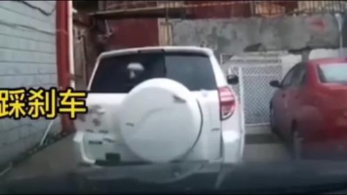 行车记录仪,女司机溜车撞上后车,隔着屏幕都能感觉到副驾的绝望