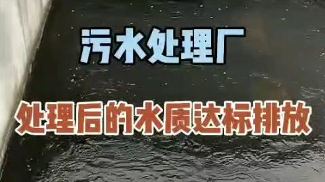 污水处理厂 污泥脱水 聚丙烯酰胺 絮凝剂 造纸厂、印染厂、钢厂、食品...
