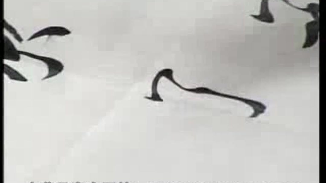 小学生硬笔书法教程