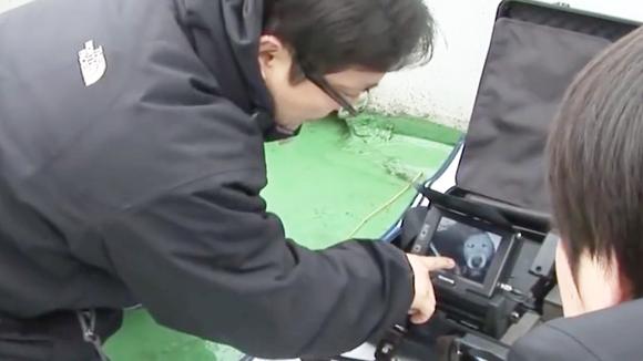 狗狗躲在洞穴不肯出来,女子安装摄像头,这才发现其中的秘密