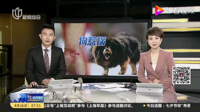 【上海早晨·新闻综合】蛇咬了狗,狗咬了人,蛇狗都已死!男子紧急求医:...
